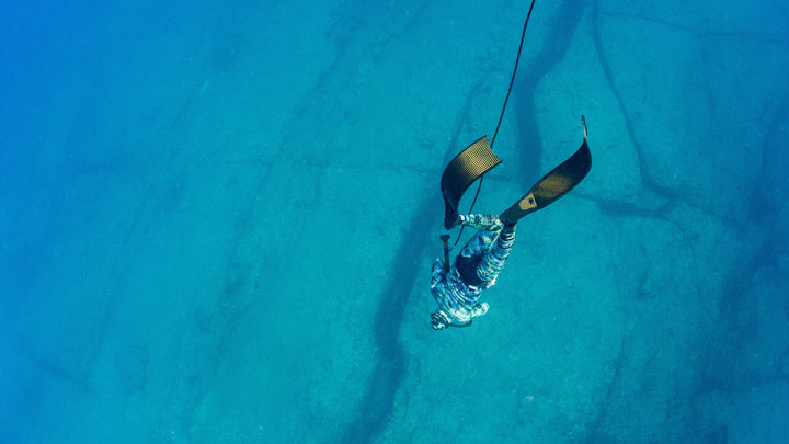 JBL Spearguns, Pole Spears, & Dive Gear to Spearfish Freedive & Scuba