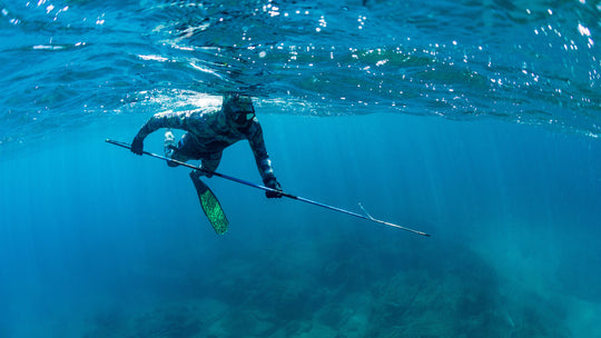 JBL Spearguns, Pole Spears, & Dive Gear to Spearfish Freedive & Scuba