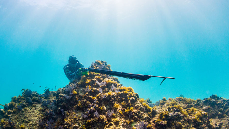JBL Spearguns, Pole Spears, & Dive Gear to Spearfish Freedive & Scuba