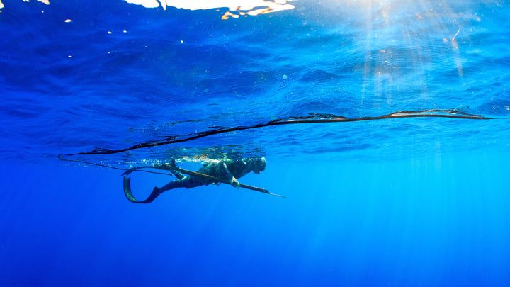JBL Spearguns, Pole Spears, & Dive Gear to Spearfish Freedive & Scuba